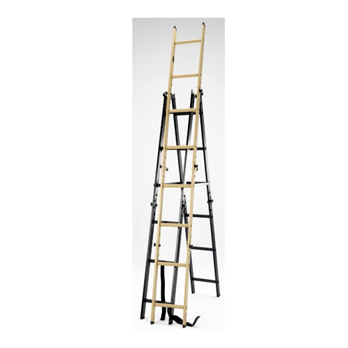 Bayley Military Ladder